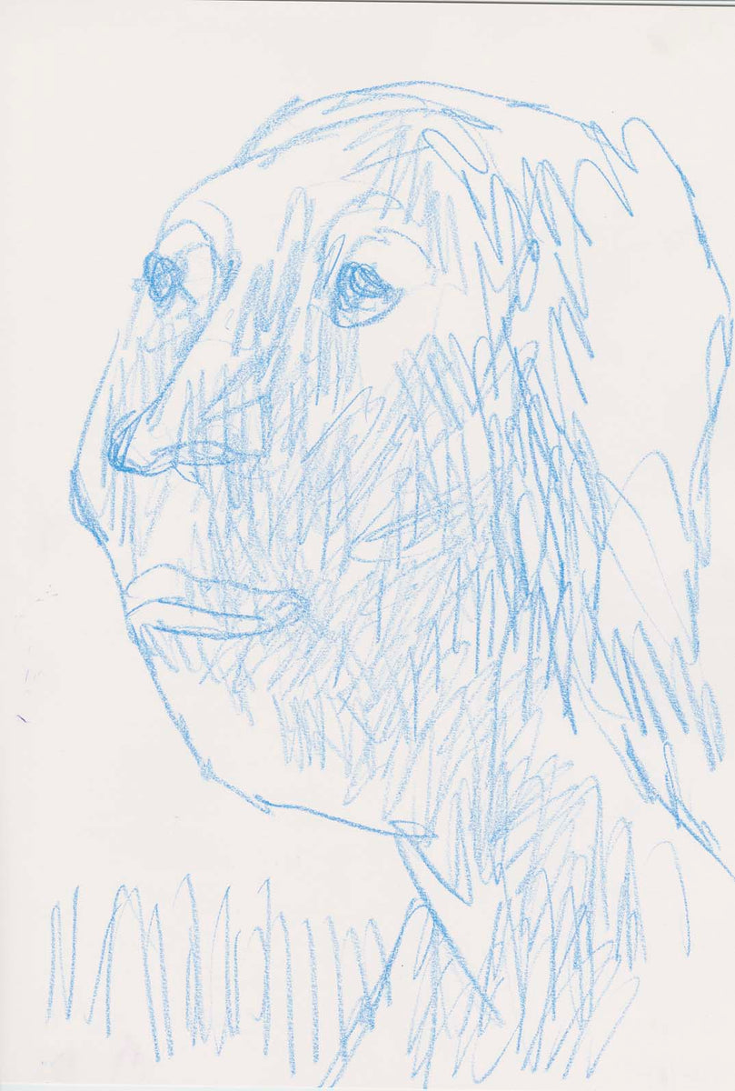 40 Women’s Portraits #16 (SP266/322) – HastingsContemporary